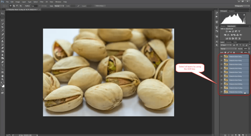 Focus Stacking in Photoshop Tutorial - fstop Training