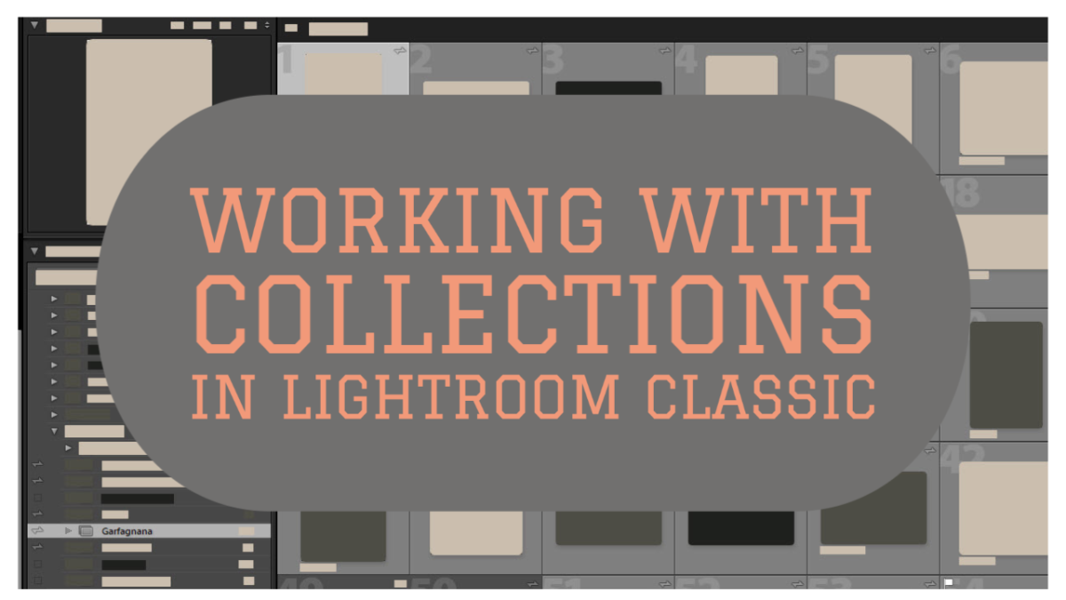 Working with Collections in Lightroom Classic - fstop Training